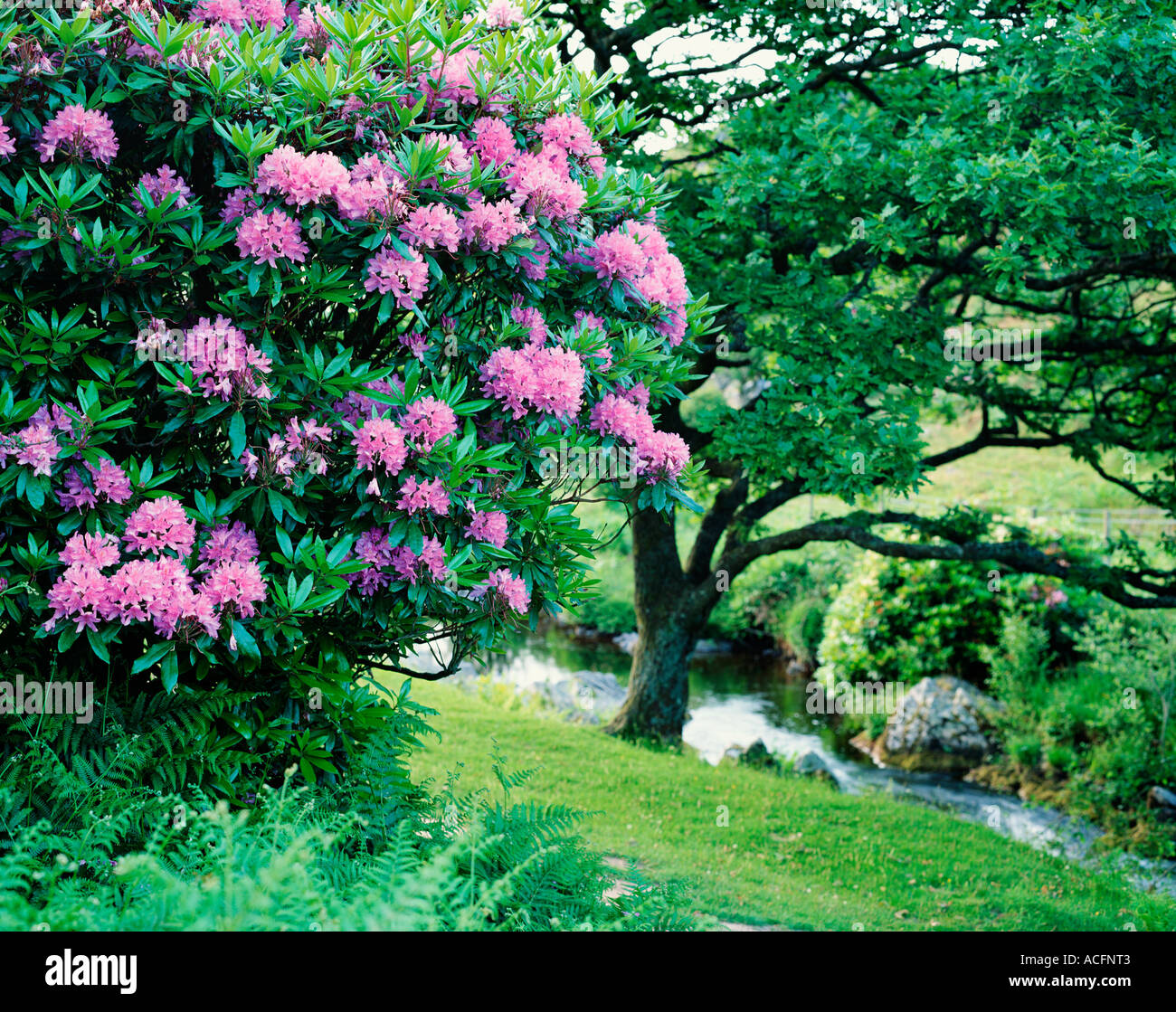 Lorna doone valley hi-res stock photography and images - Alamy