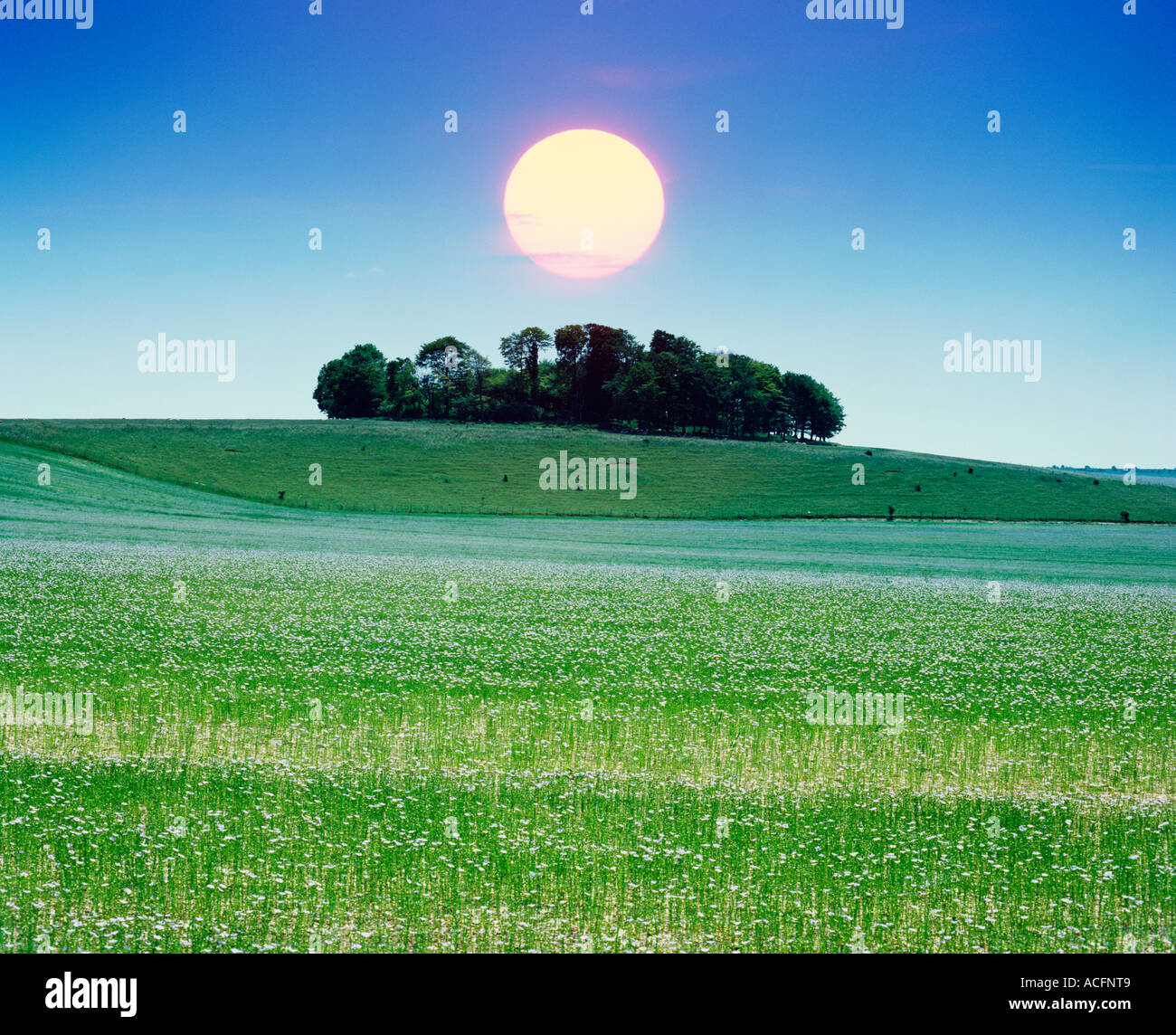 GB WILTSHIRE WINTERSLOW Stock Photo - Alamy