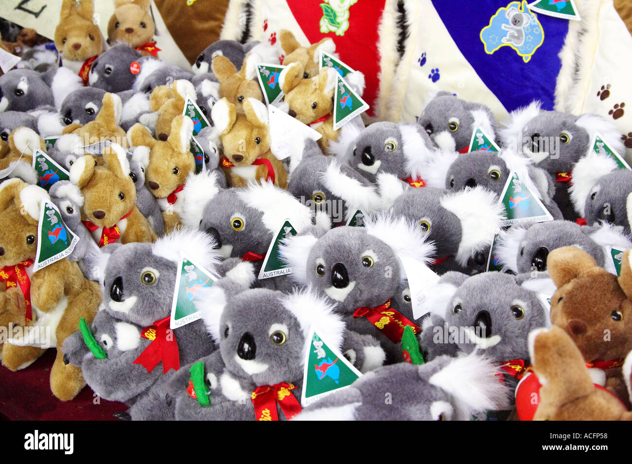Fluffy Koalas and Kangaroos Queen Victoria Market Melbourne Victoria ...