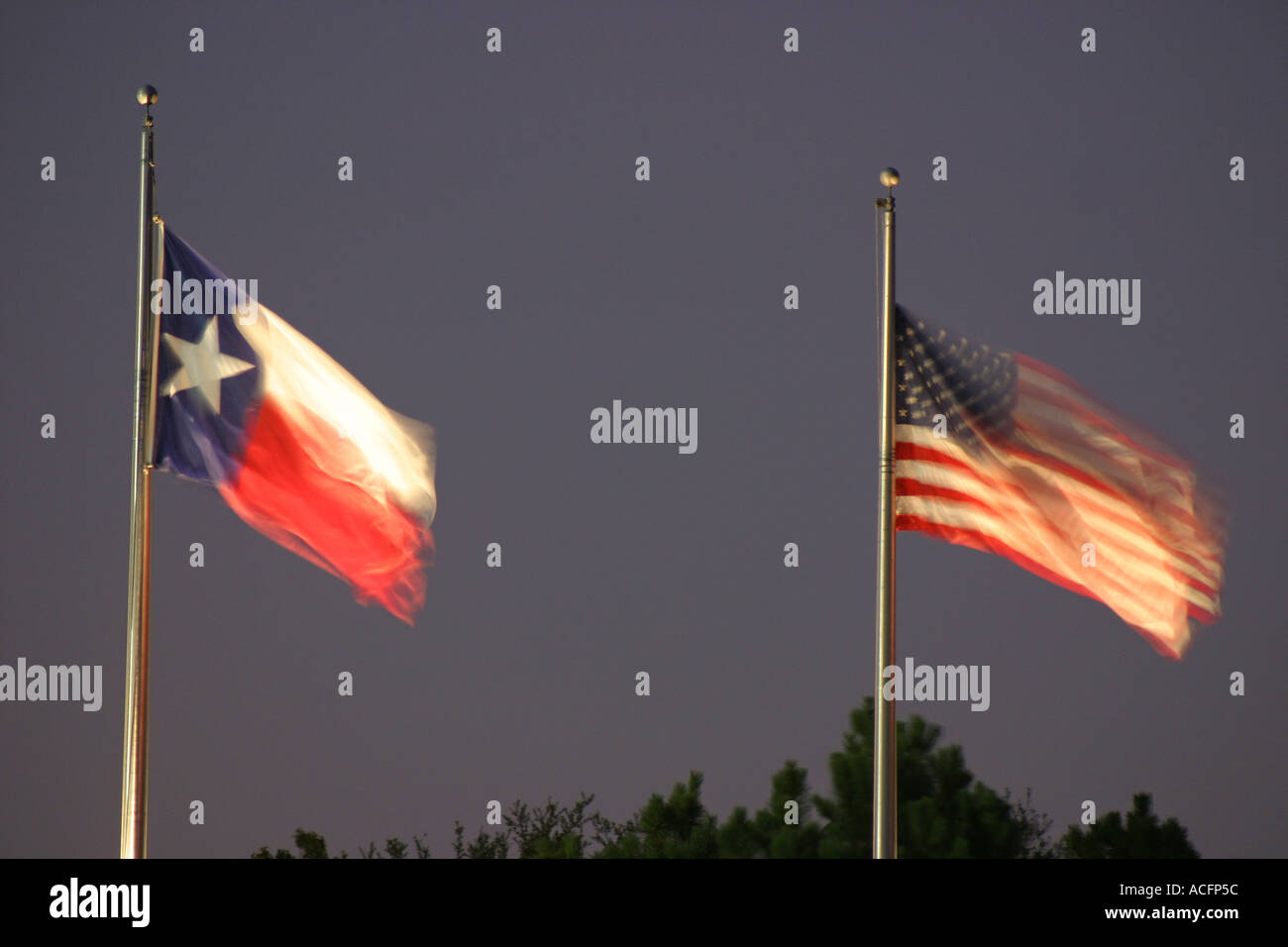 Texas and US flags at night Stock Photo - Alamy
