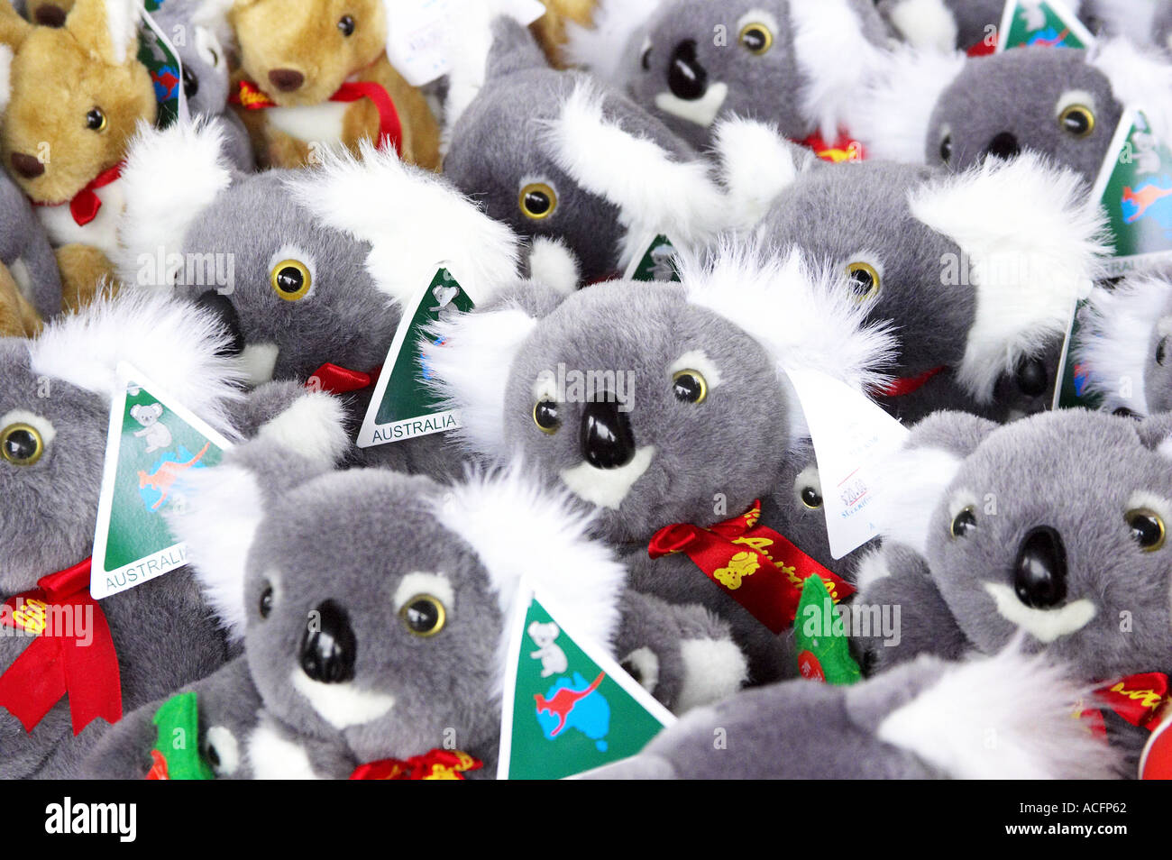 Fluffy Koalas and Kangaroos Queen Victoria Market Melbourne Victoria ...