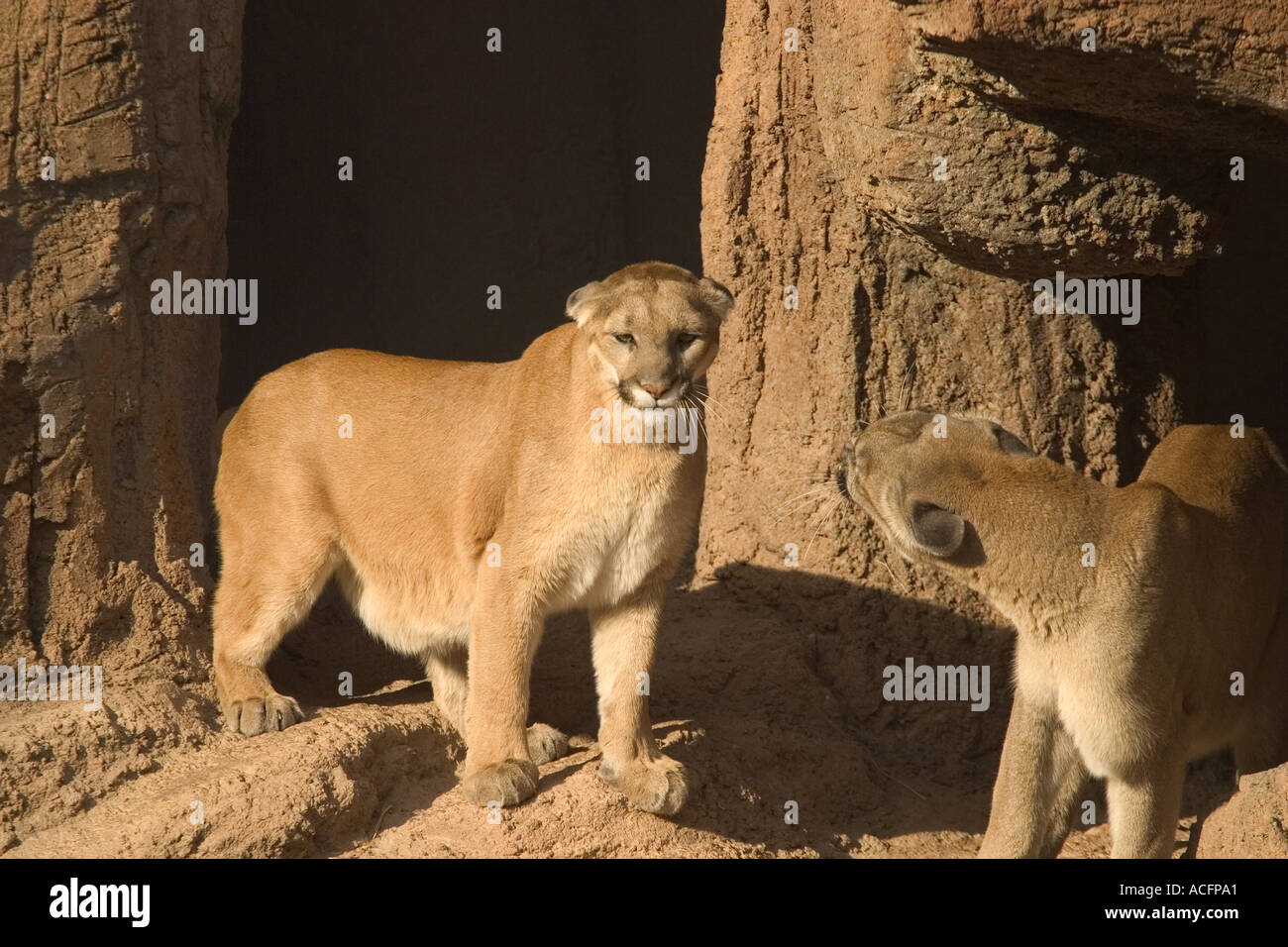 Reg0210 hi-res stock photography and images - Alamy