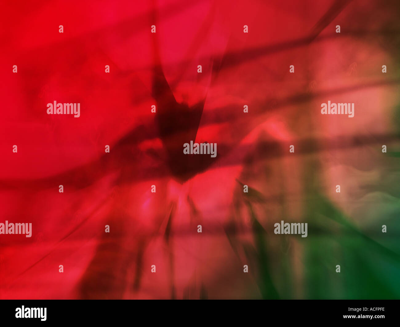 Shades of red computer generated design Stock Photo - Alamy