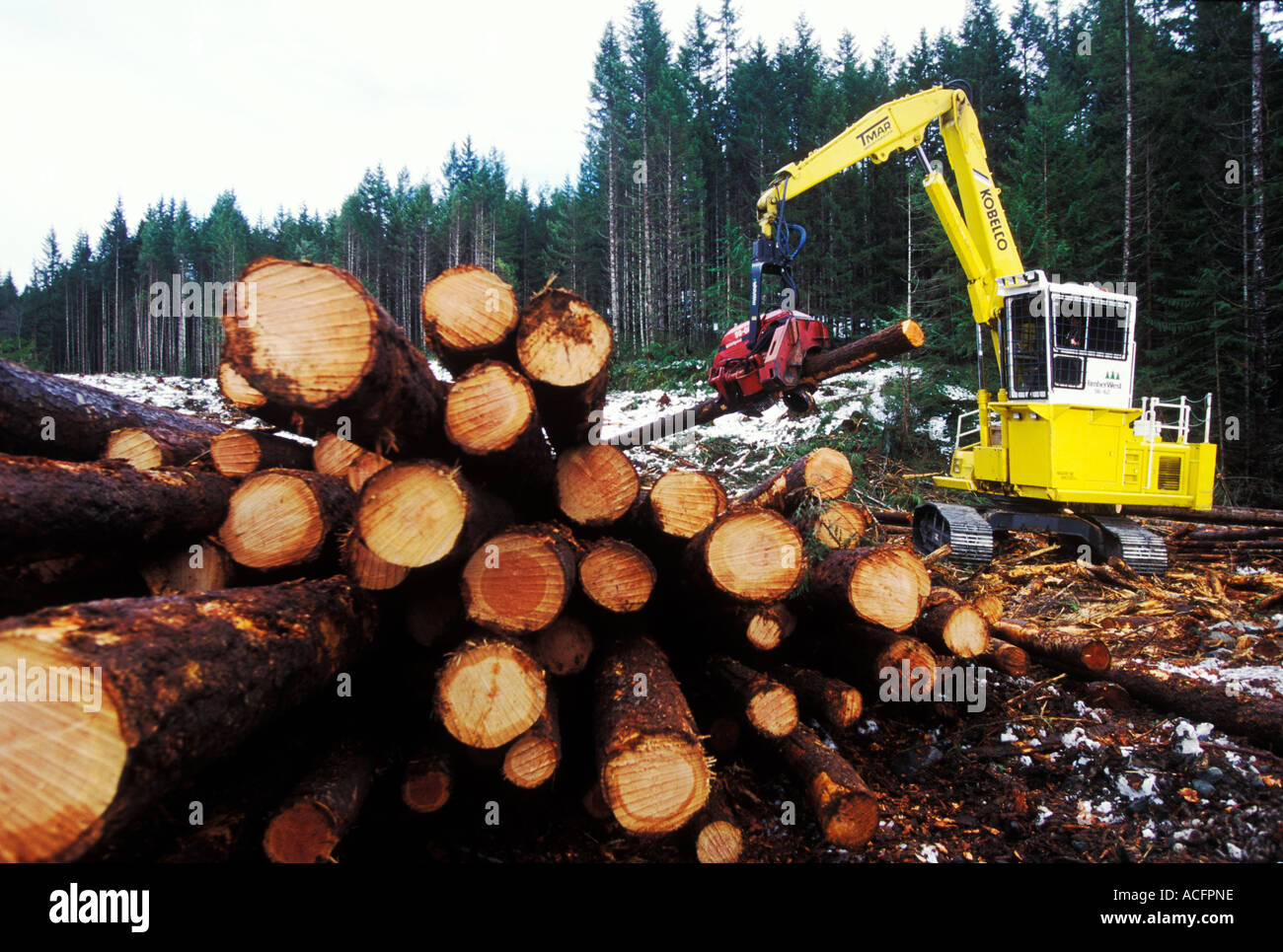 Vancouver island piles hi-res stock photography and images - Alamy