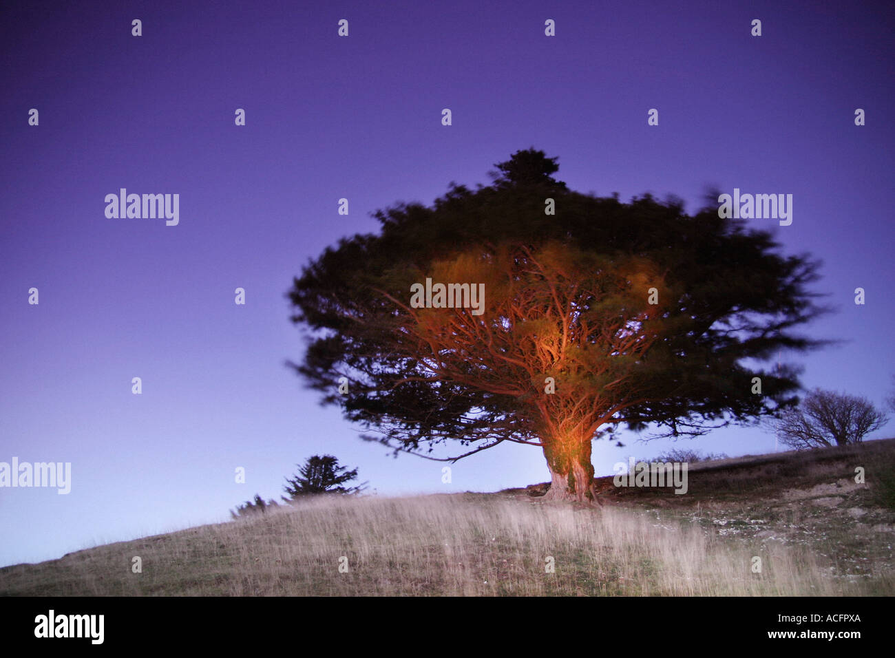 Up all night hi-res stock photography and images - Alamy