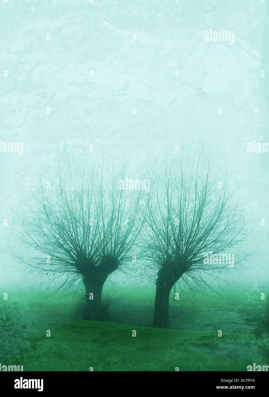 Mark owen Stock Photos & Images from Alamy