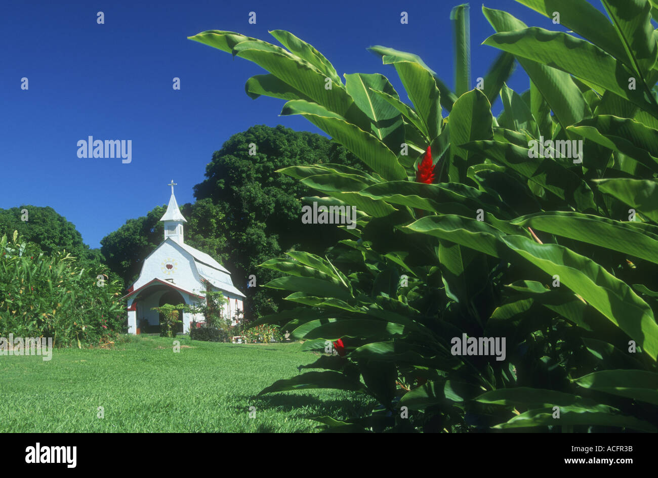 A bush setting hi-res stock photography and images - Alamy
