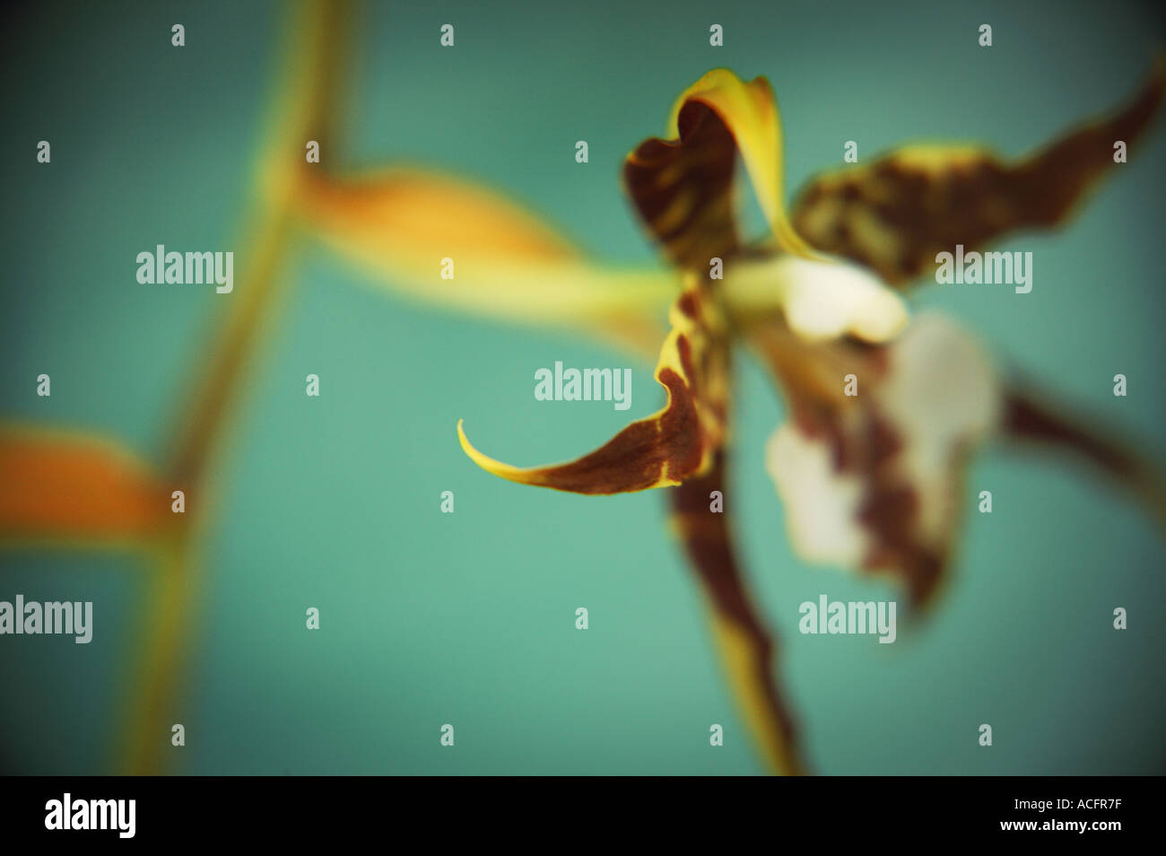 Life in the abstract hi-res stock photography and images - Alamy