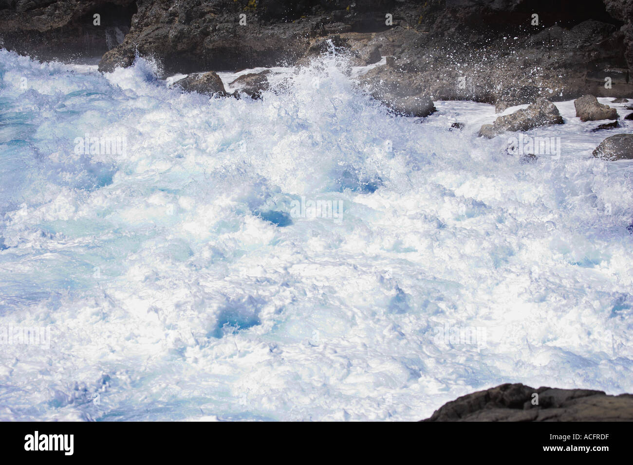 Saltwater rush hi-res stock photography and images - Alamy
