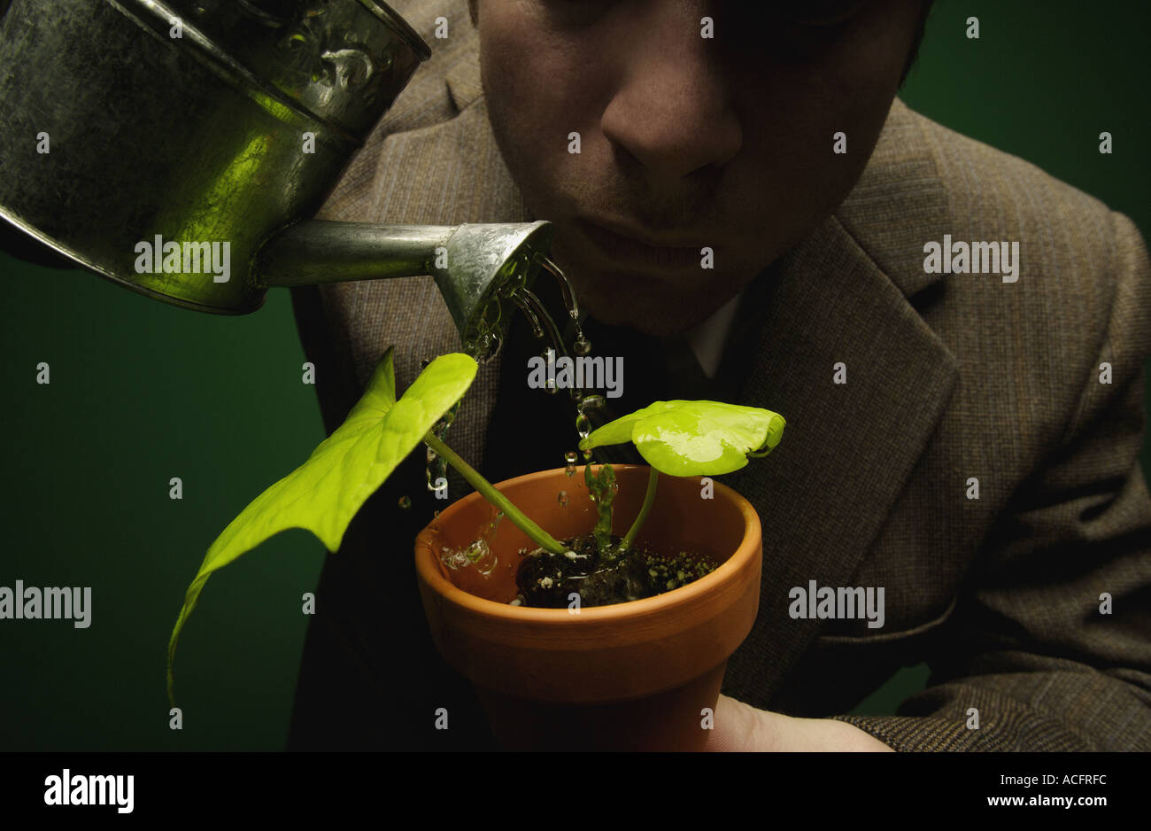 Plant being watered by a man who is watching it closely Stock Photo - Alamy