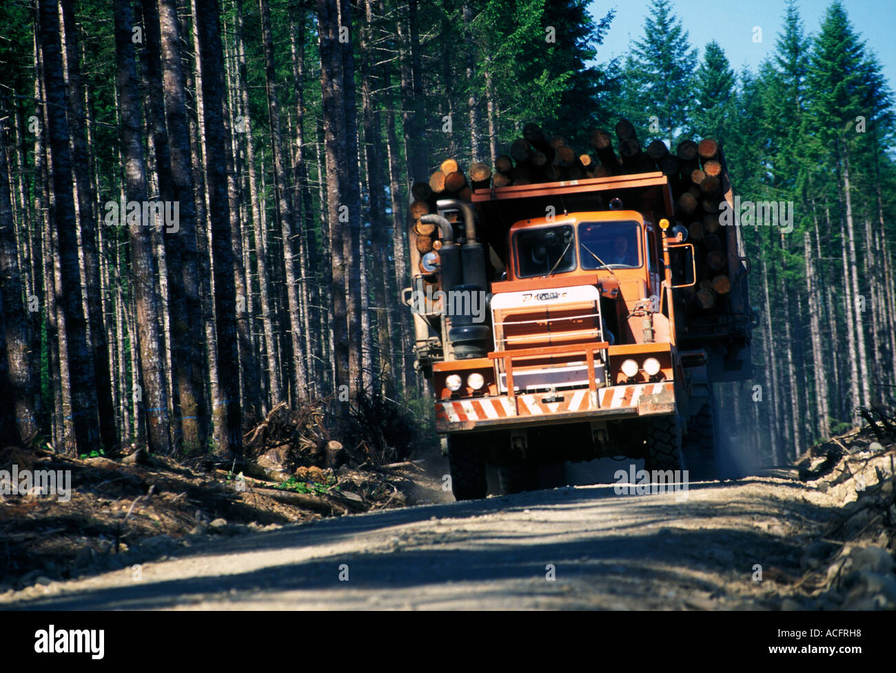 Log sort yard hi-res stock photography and images - Alamy
