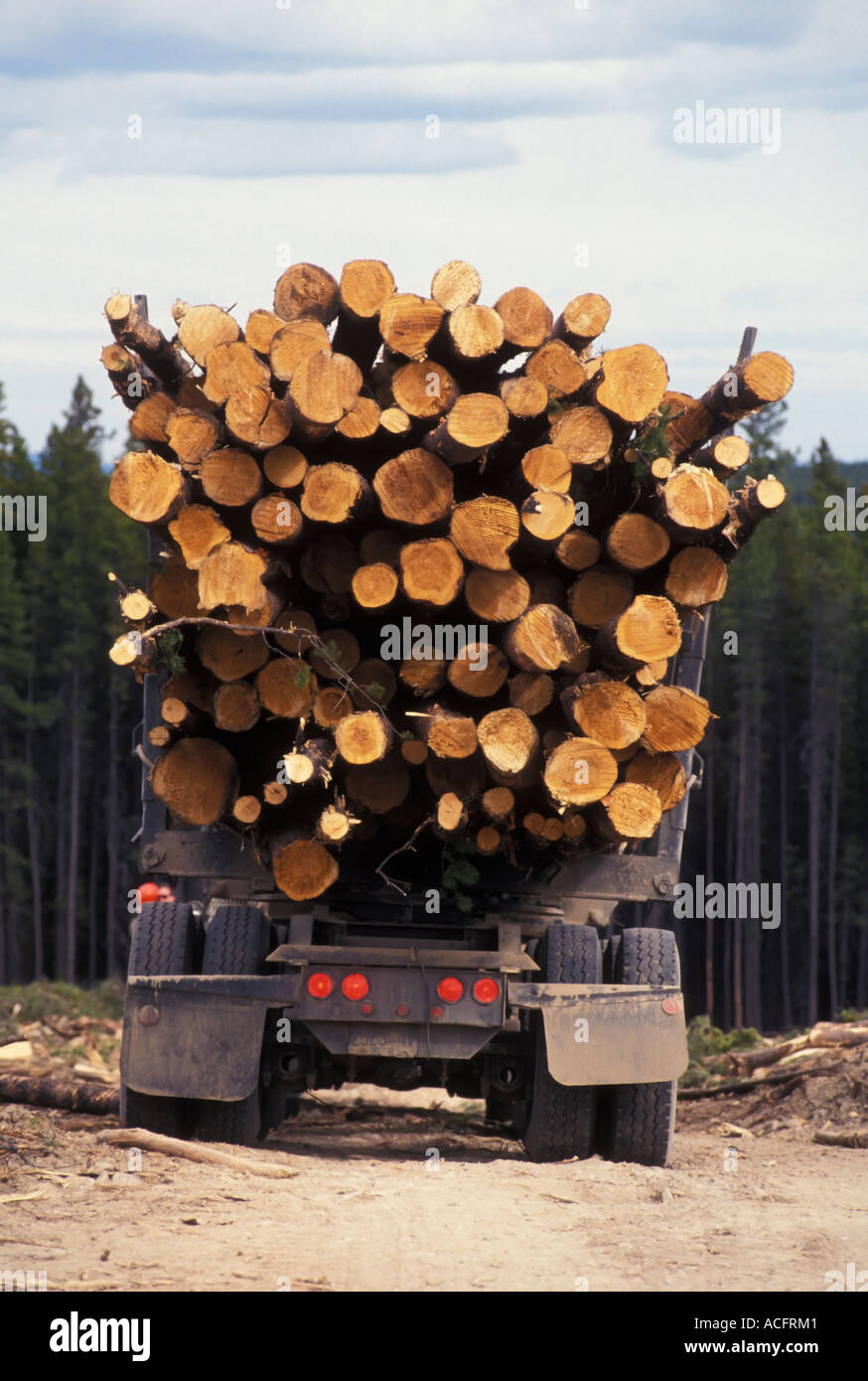 Log sort yard hi-res stock photography and images - Alamy