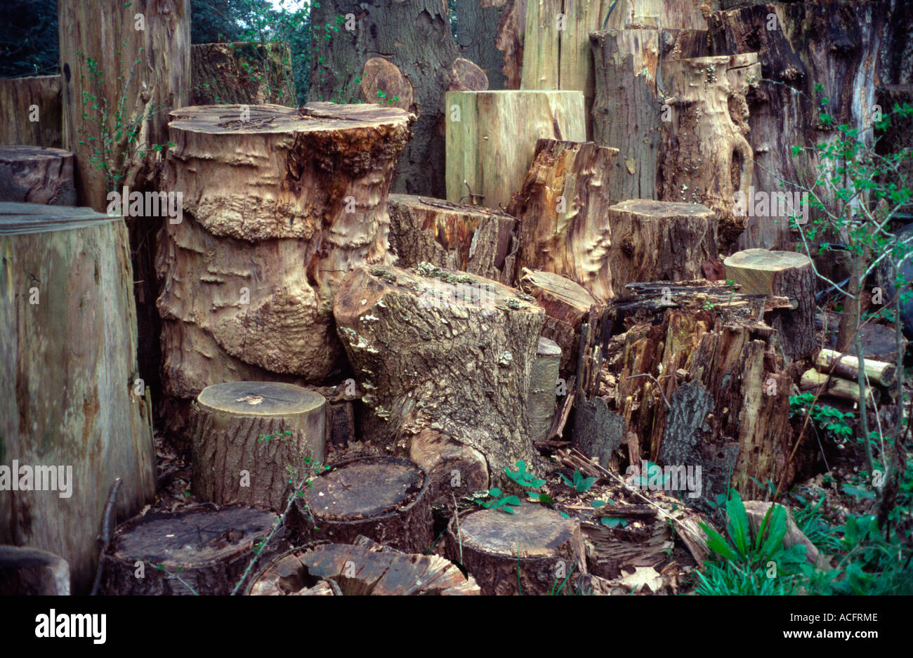 Loggery, Kew Gardens, Surrey, UK Stock Photo - Alamy