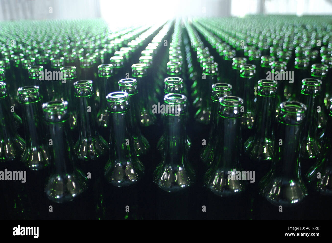 Hot glass bottles undergoing cooling procedure in Gostomel bottle ...