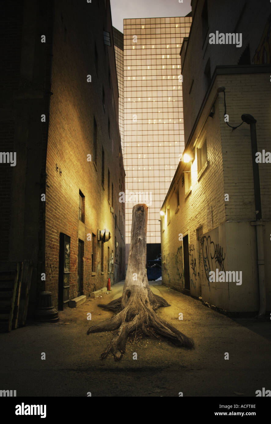 Tree trunk in back alley Stock Photo - Alamy