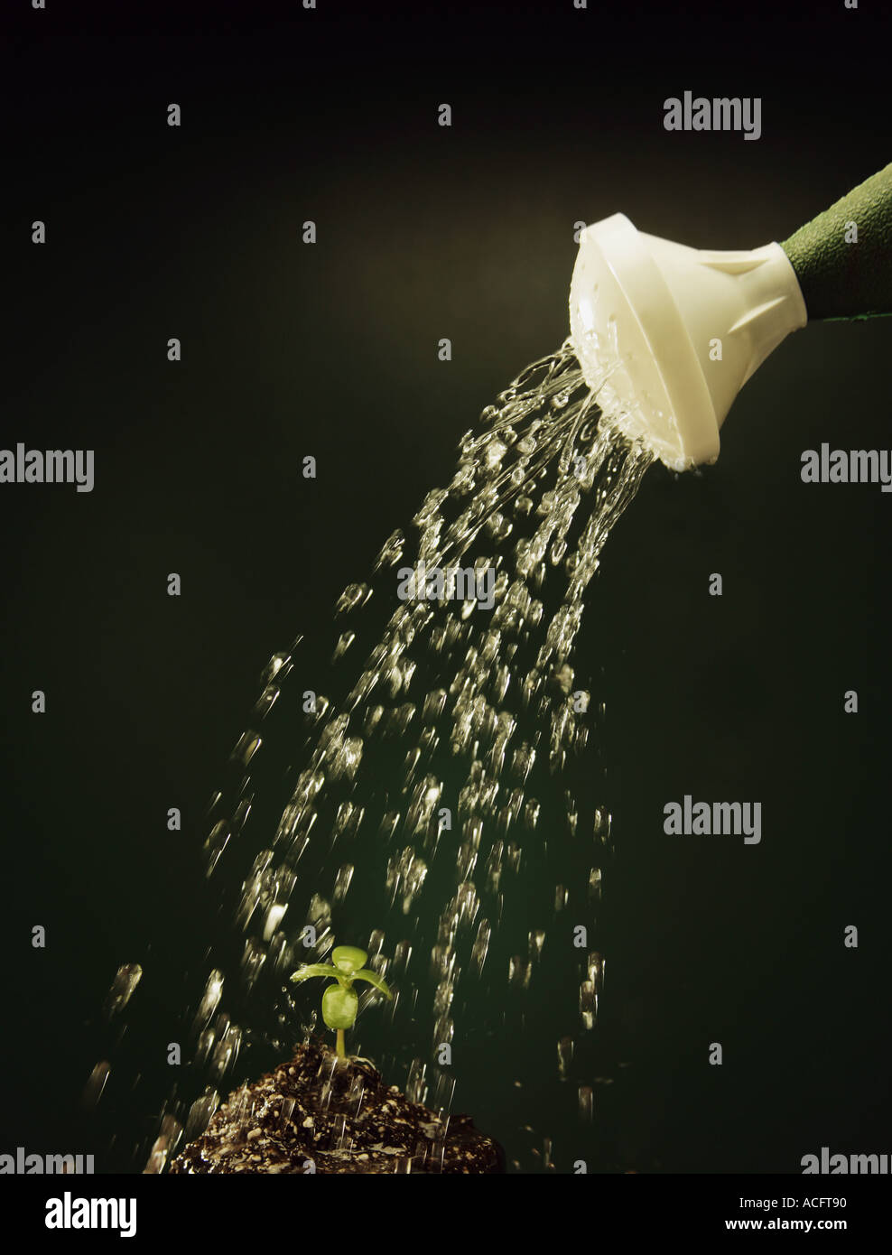 Water of life Stock Photo - Alamy