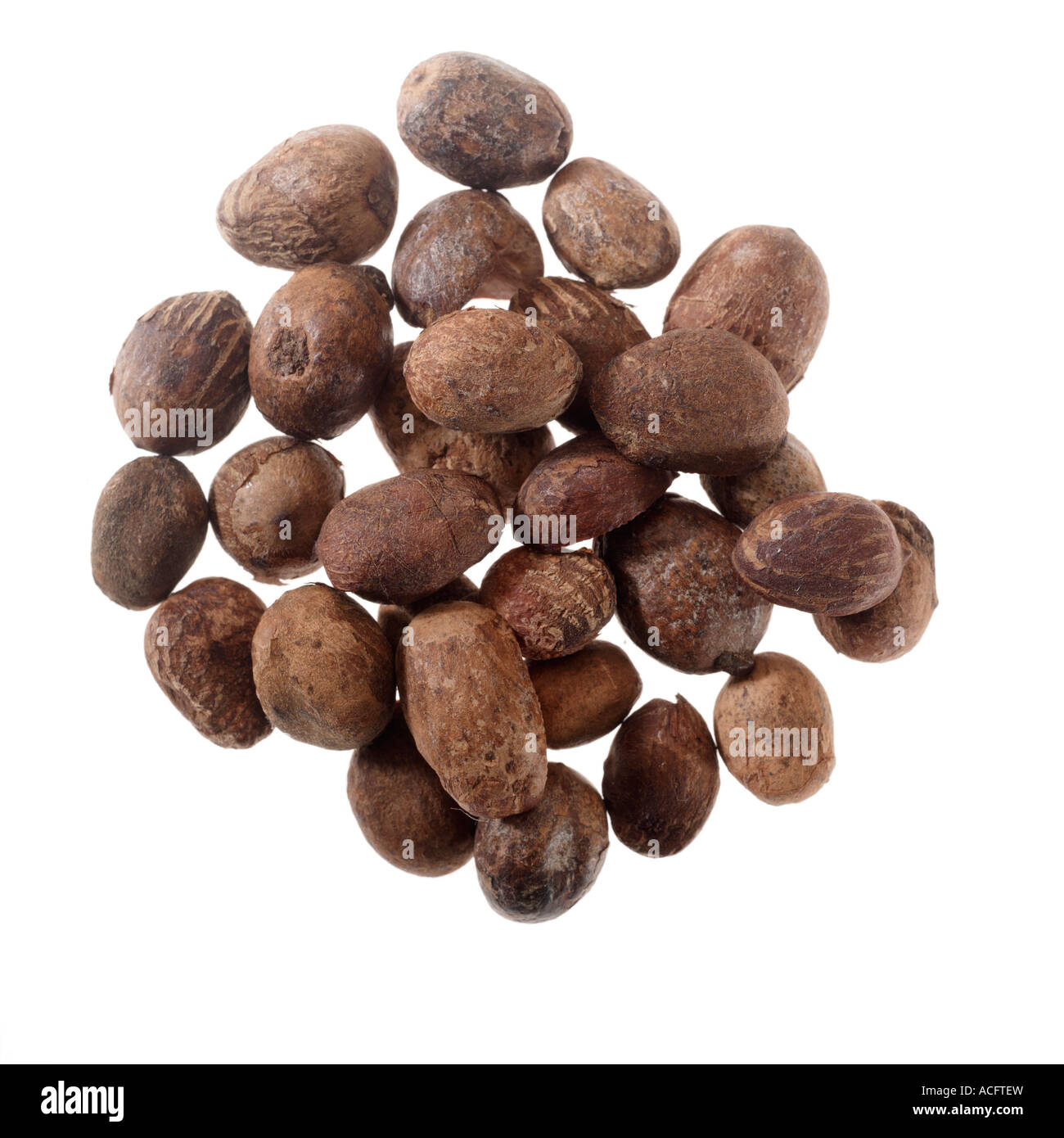 Shea nuts Cut Out Stock Images & Pictures - Alamy