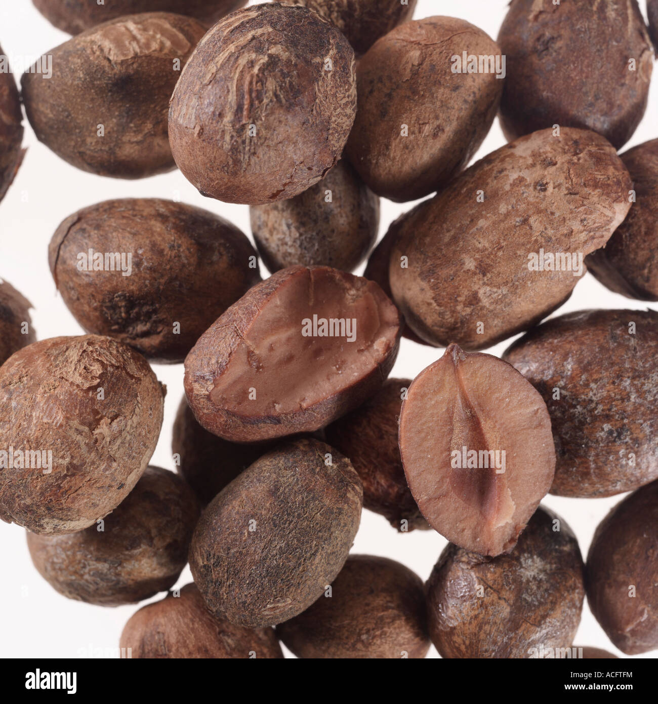 Shea nut tree hi-res stock photography and images - Alamy