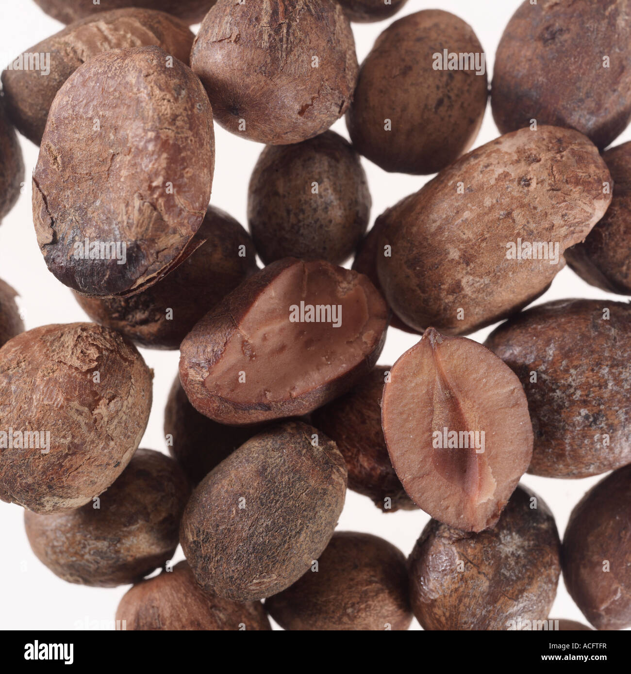 Shea tree hi-res stock photography and images - Alamy