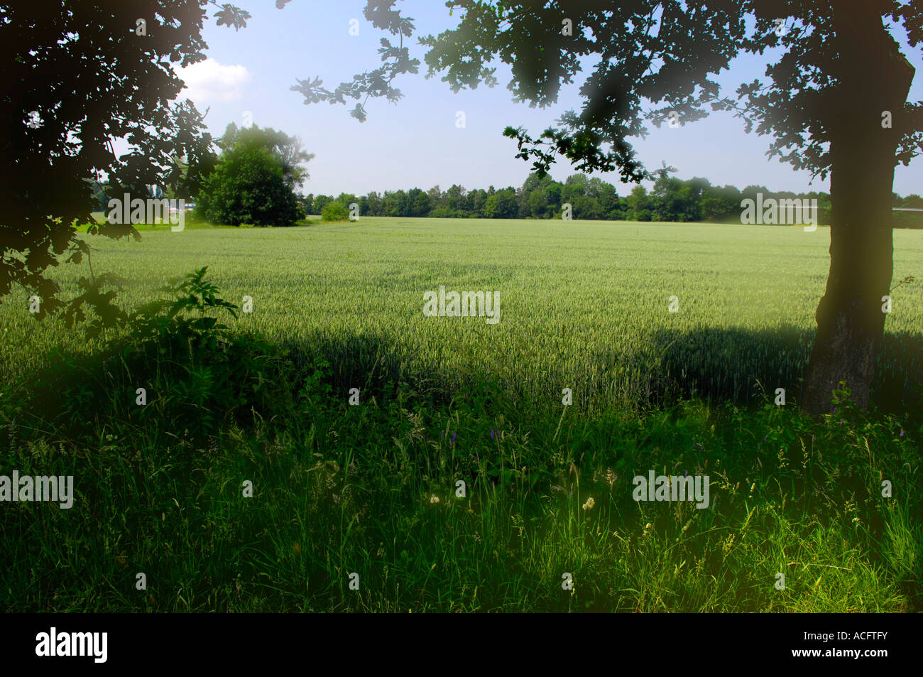 Vignette deutschland hi-res stock photography and images - Alamy