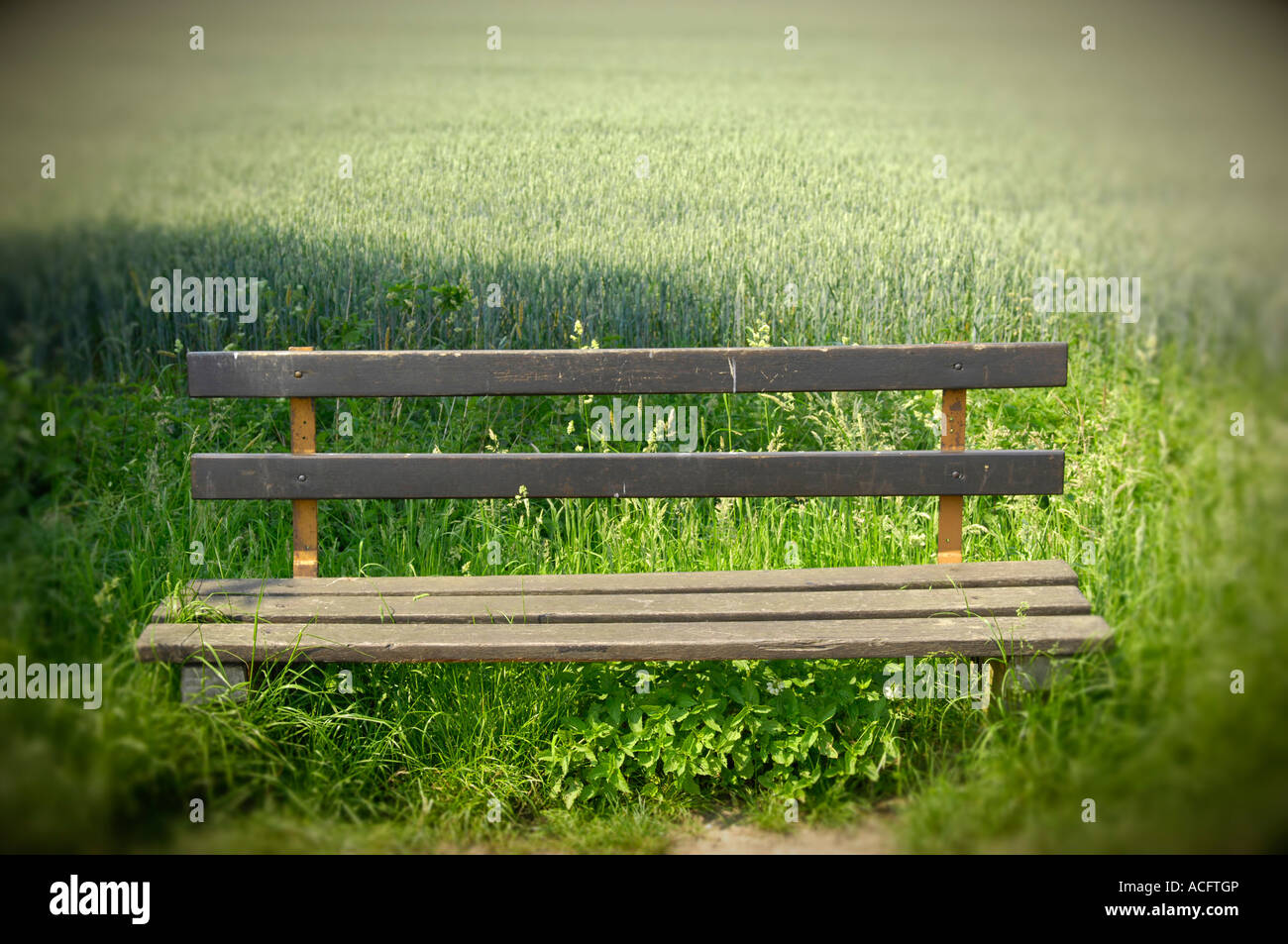 bench field rural countryside nature natural summer retro vignette lomo ...