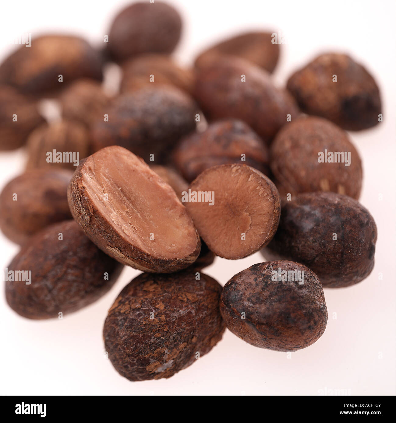 Group of Shea Nuts Stock Photo - Alamy