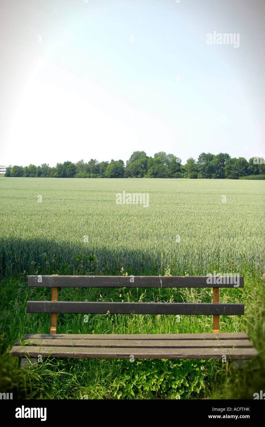 bench field rural countryside nature natural summer retro vignette lomo ...