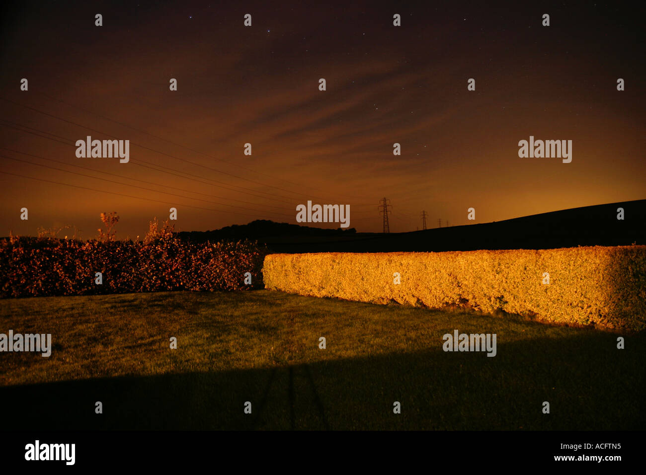 Photo of a garden hedge at night Stock Photo - Alamy