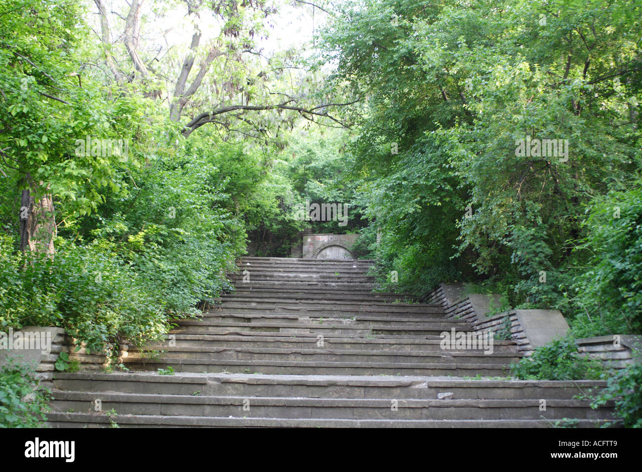 Bair tree hi-res stock photography and images - Alamy