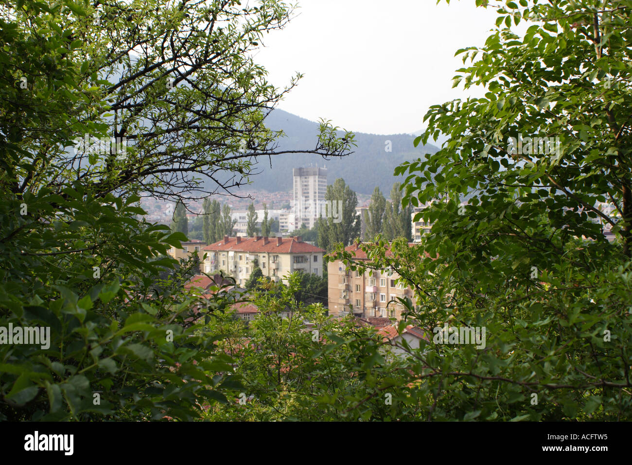 Bair tree hi-res stock photography and images - Alamy