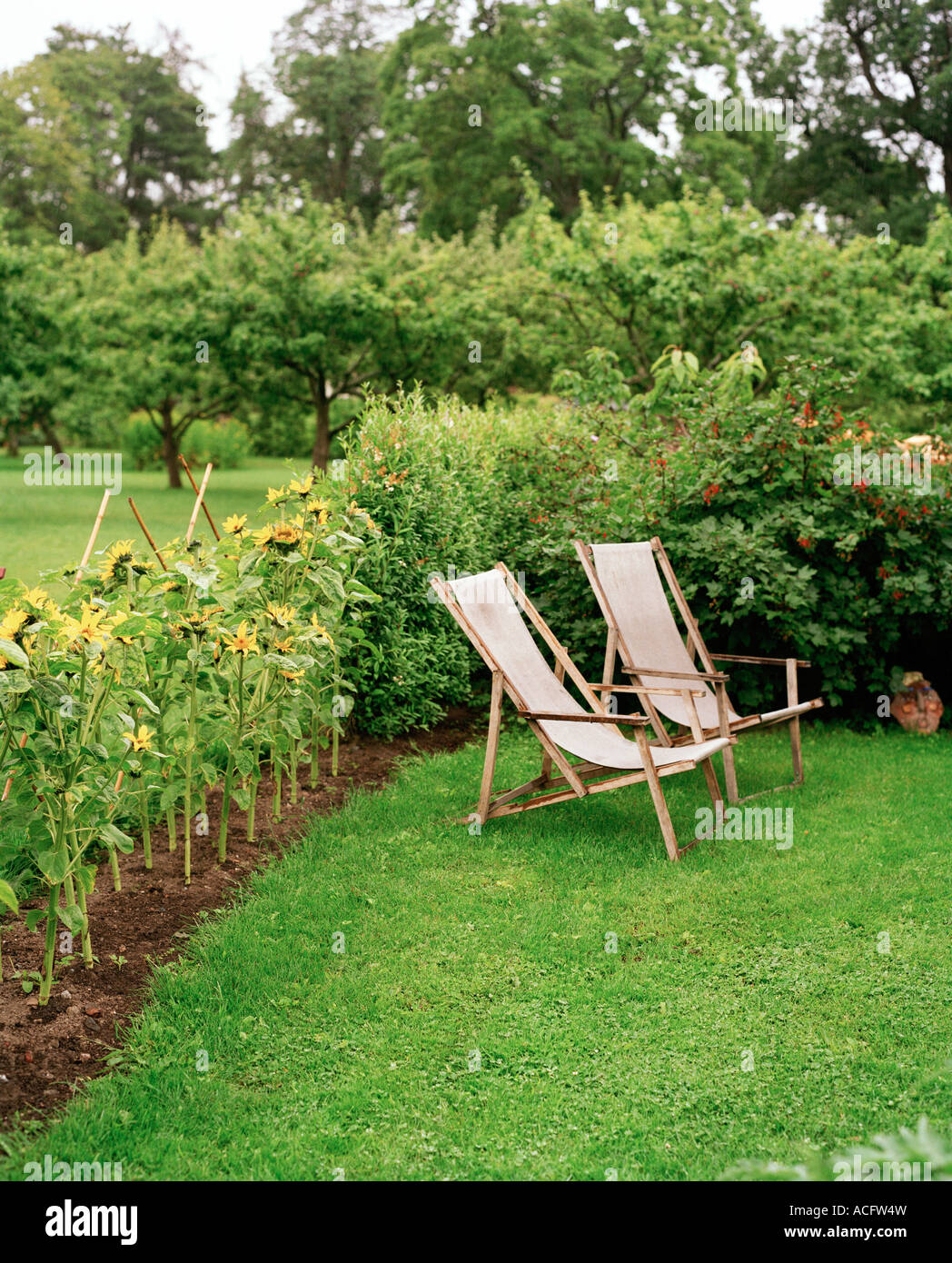 Sun chairs in a garden Stock Photo - Alamy