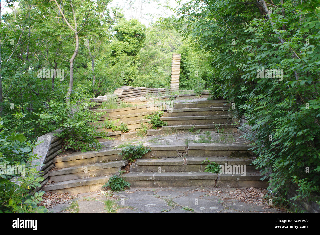 Bair Tree High Resolution Stock Photography and Images - Alamy