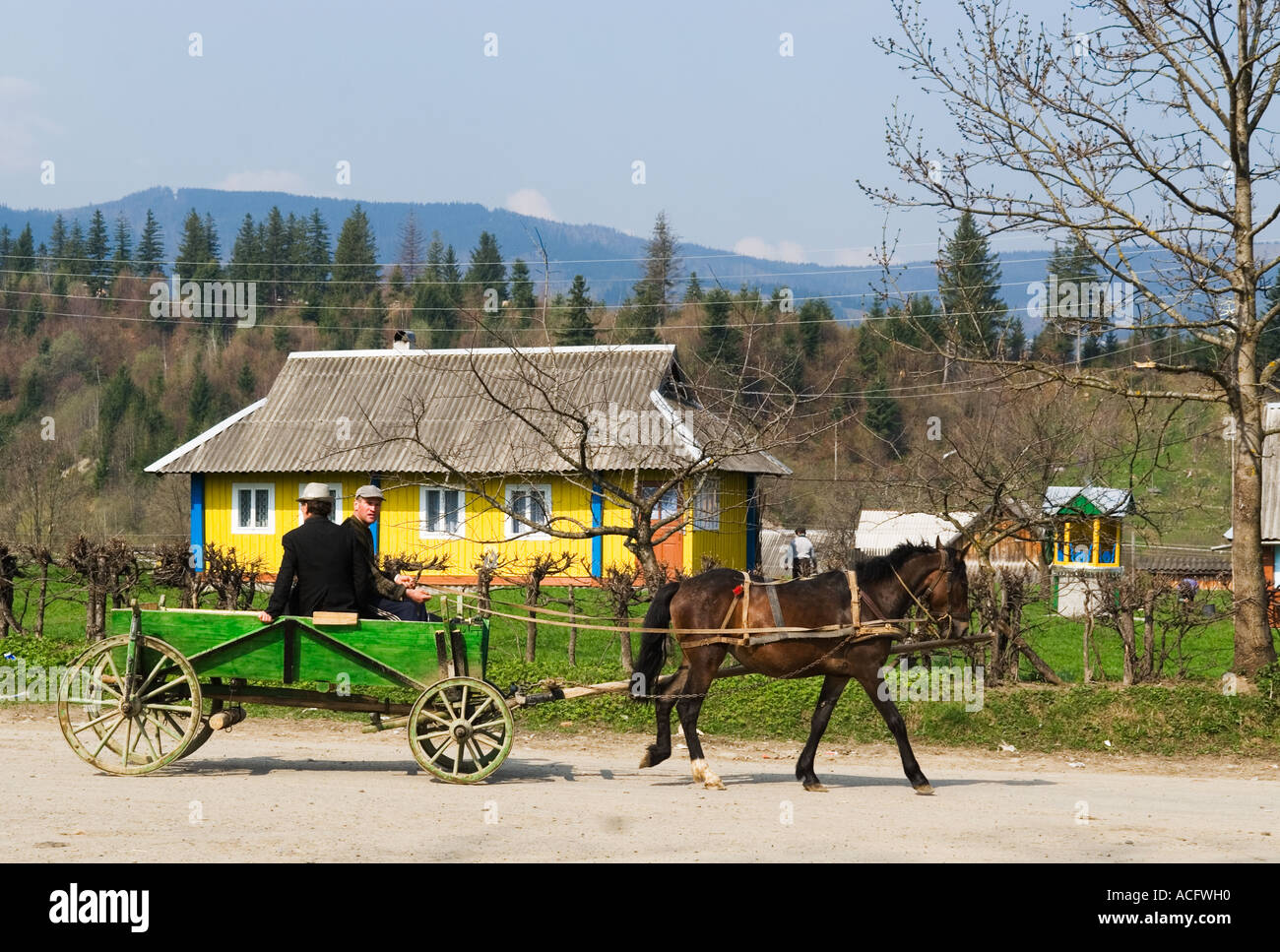 Horse and buggy transportation in the Carpathian Mountains Western Ukraine Stock Photo - Alamy