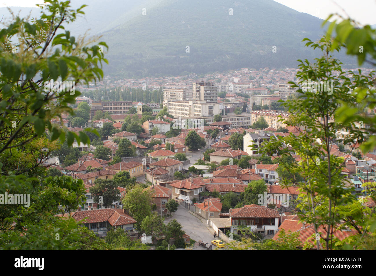 Bair tree hi-res stock photography and images - Alamy