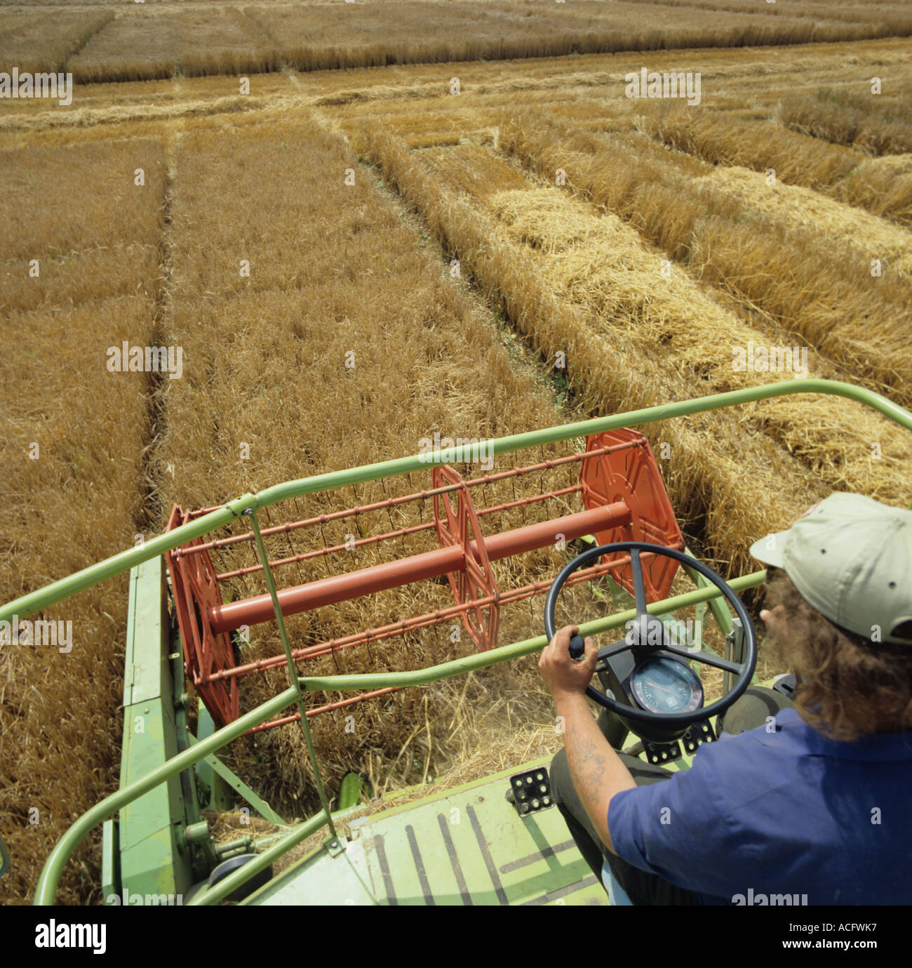 Plot combine harvester hi-res stock photography and images - Alamy