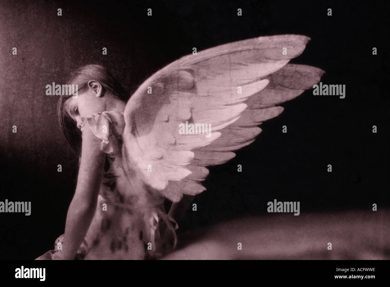 Guardian angel wings hi-res stock photography and images - Alamy