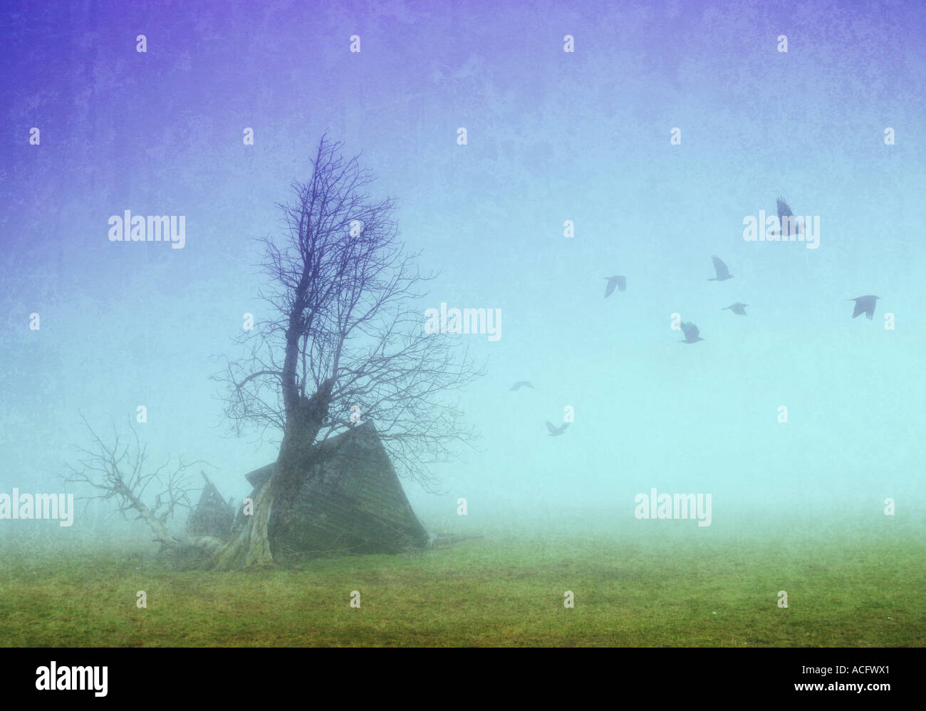 Photo of a derelict barn in mist Stock Photo - Alamy