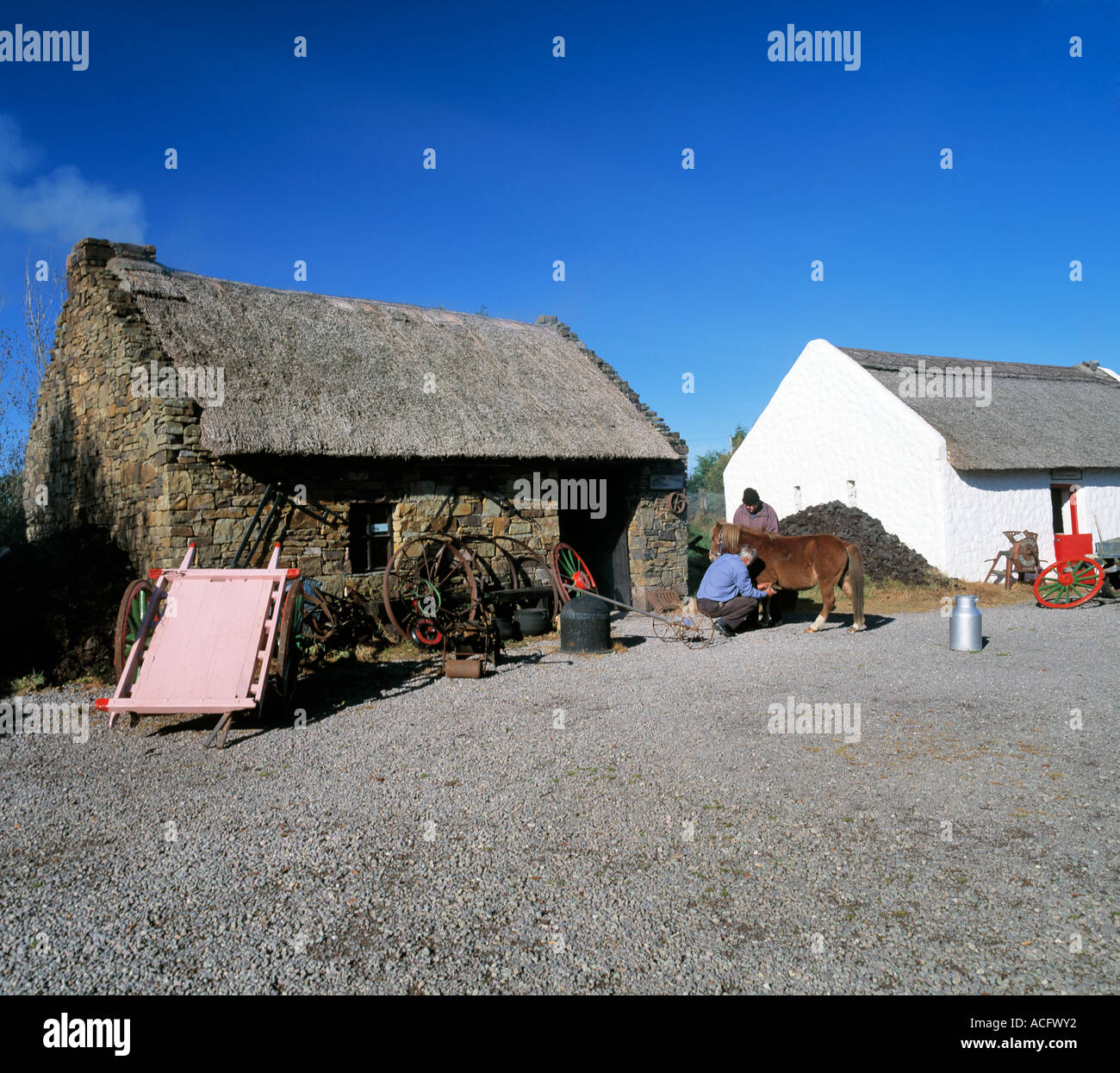 Two irish horses ancient hi-res stock photography and images - Alamy