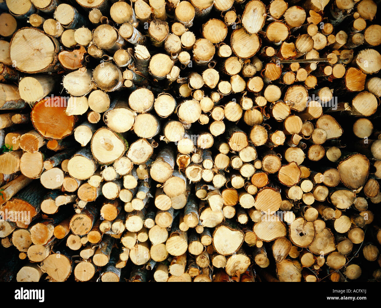 A stack of timber Stock Photo - Alamy