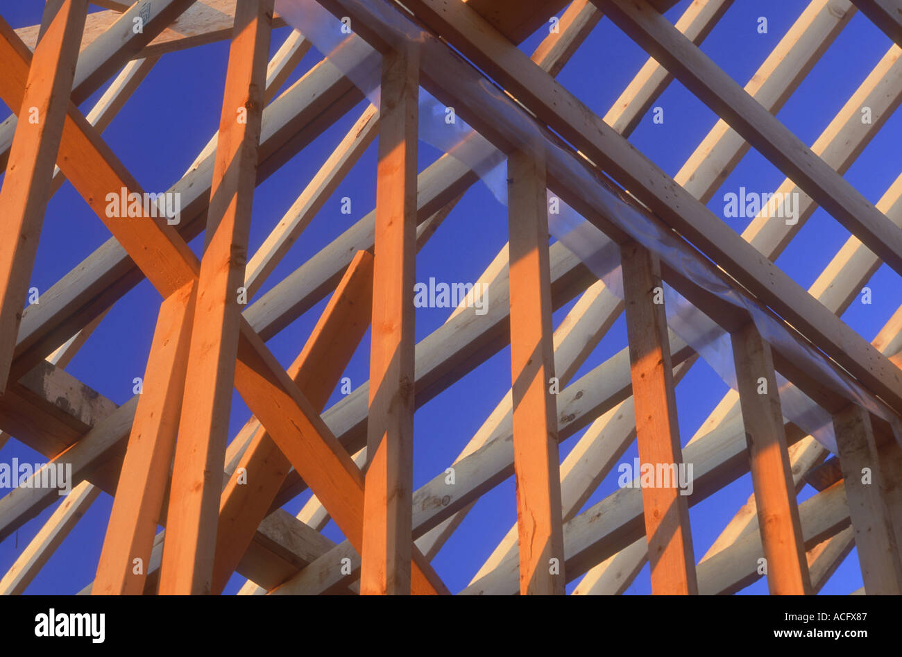 Strong framework hi-res stock photography and images - Alamy