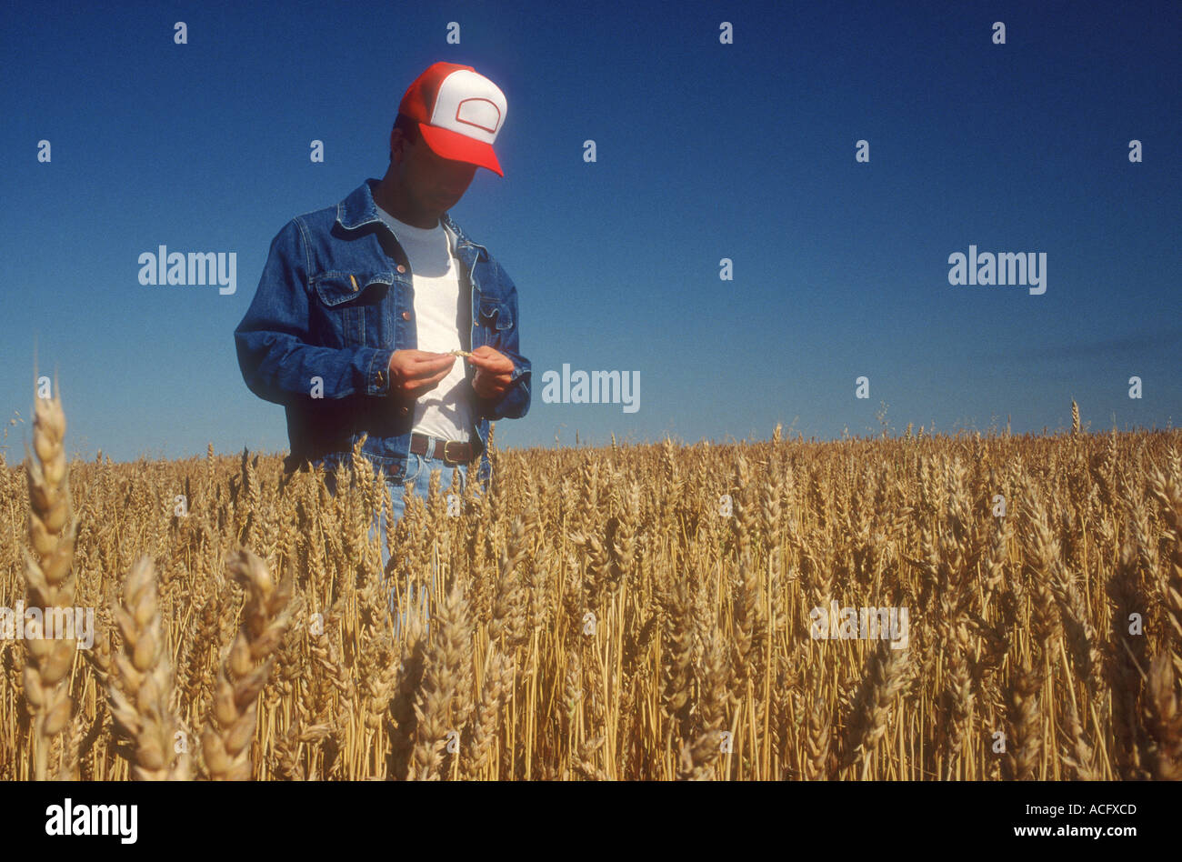 Agricultural surveying hi-res stock photography and images - Alamy
