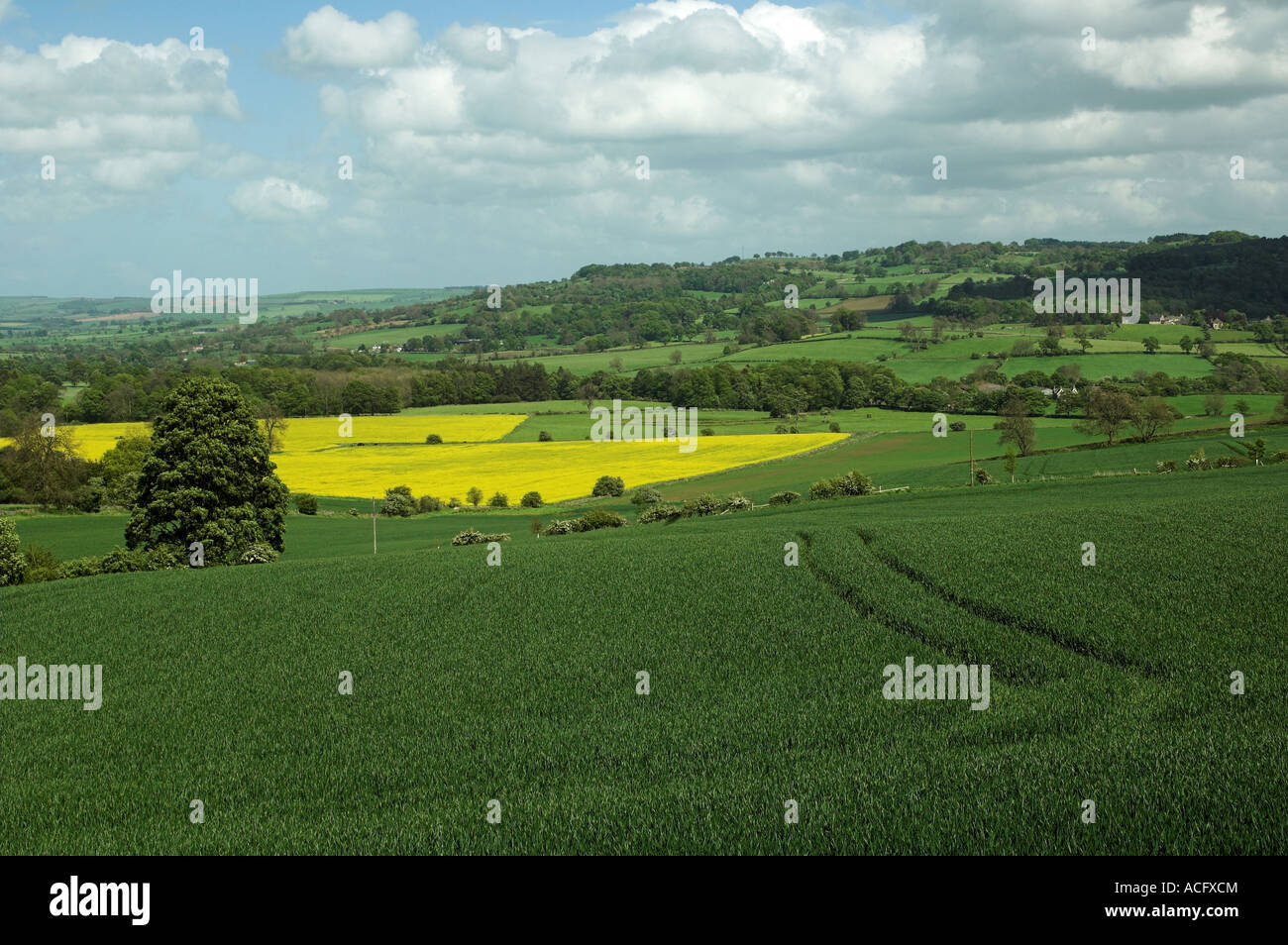 Late spring view over the Tyne Valley near Hexham Northumberland Stock ...