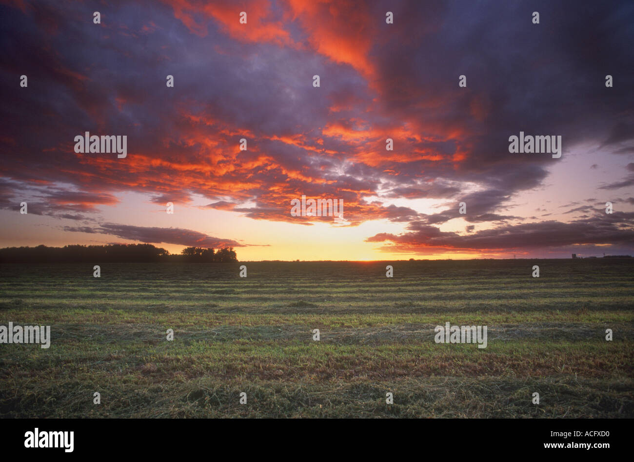 Scenic sunrise set over field Stock Photo - Alamy