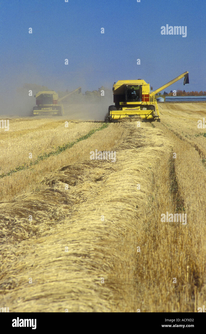 Combines cutting crop Stock Photo - Alamy