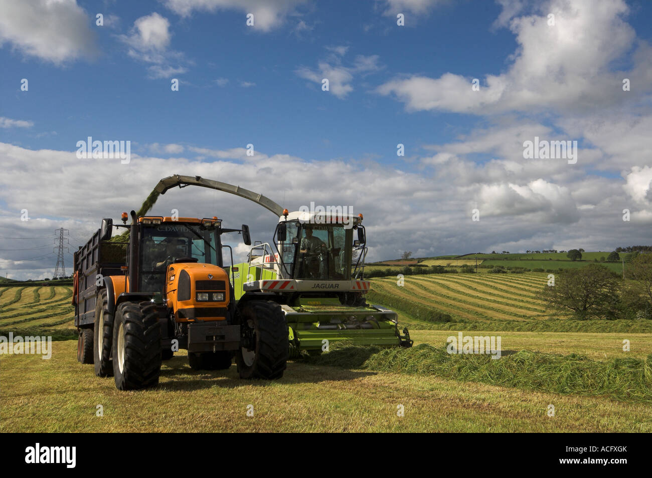 Silaging with a self propelled harvester Stock Photo - Alamy