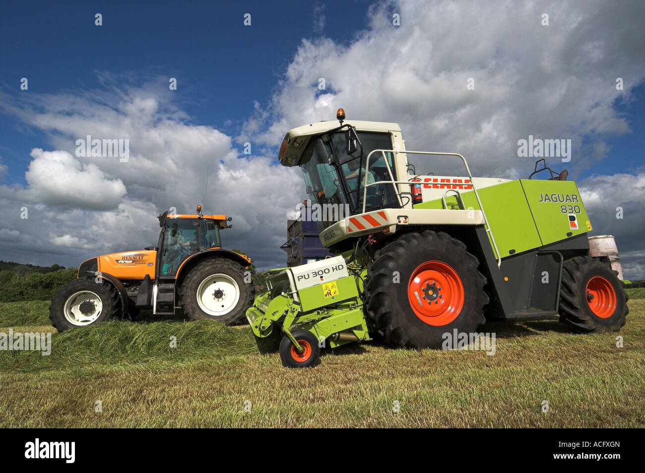 Silaging with a self propelled harvester Stock Photo - Alamy