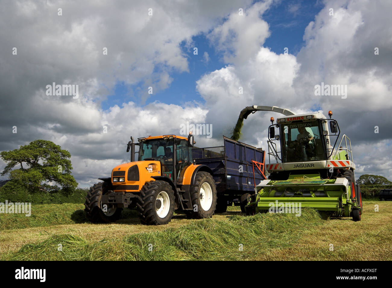Silaging self propelled harvester hi-res stock photography and images ...