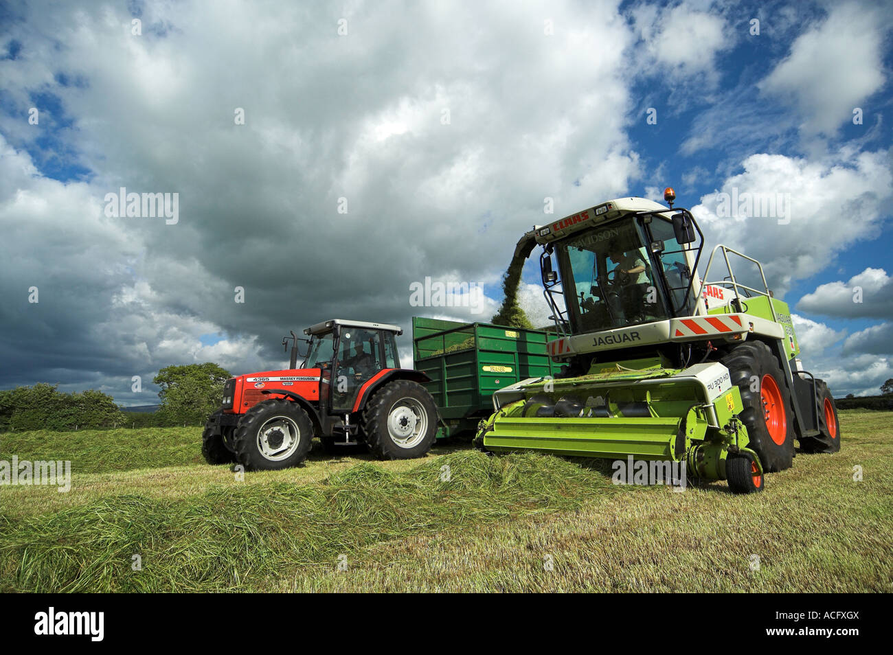 Silaging self propelled harvester hi-res stock photography and images - Alamy