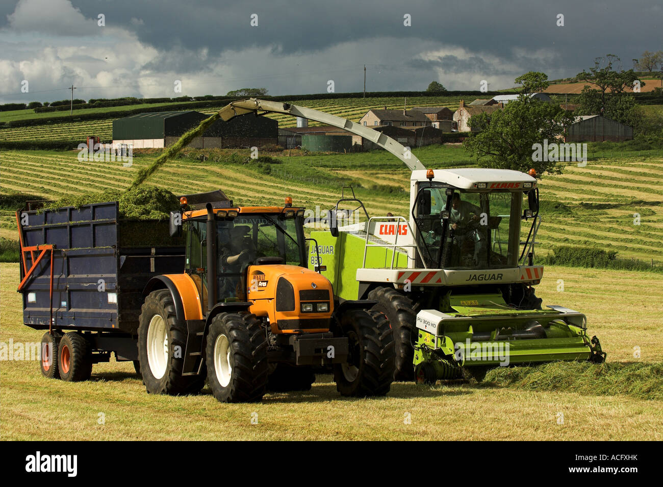 Silaging with a self propelled harvester Stock Photo - Alamy