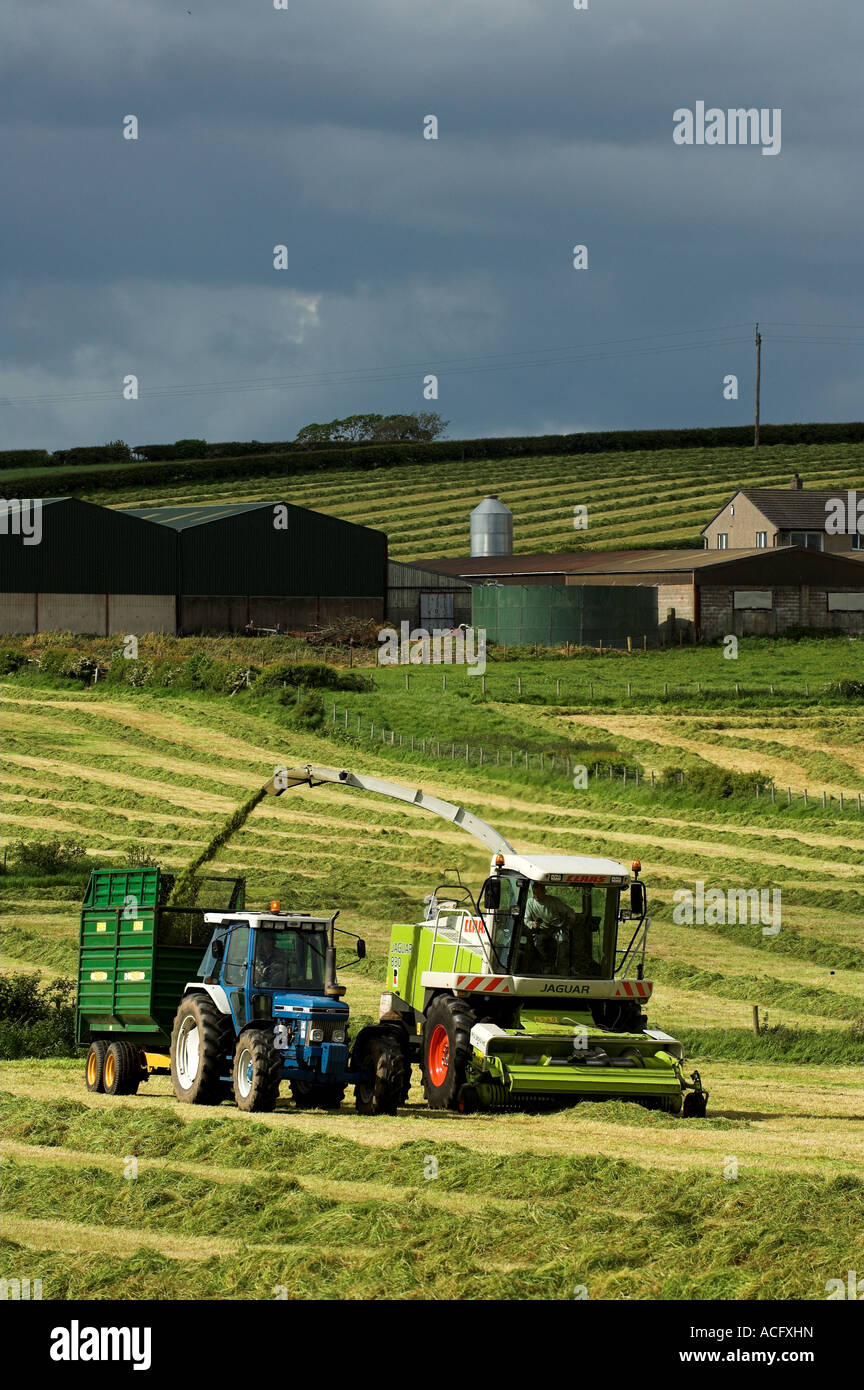 Silaging self propelled harvester hi-res stock photography and images ...